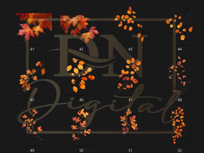 52 Fall Branches Overlays/clipart Collection • Autumn Leaves Clip Art ...