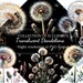Translucent Dandelion Clipart Collection • Dandelion Overlays ...