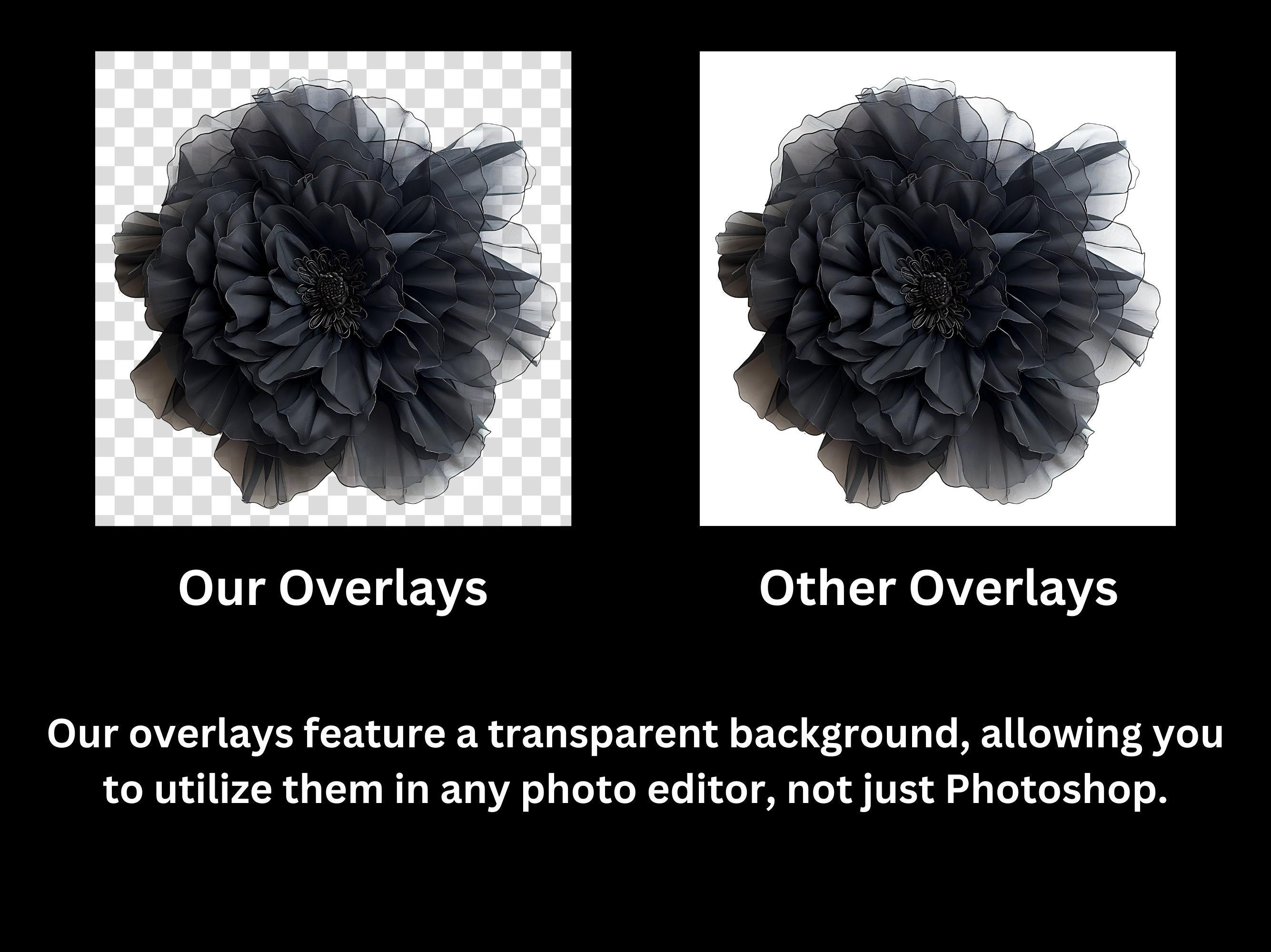 40 Black Tulle Flowers Overlays/clipart Collection With Free Commercial ...