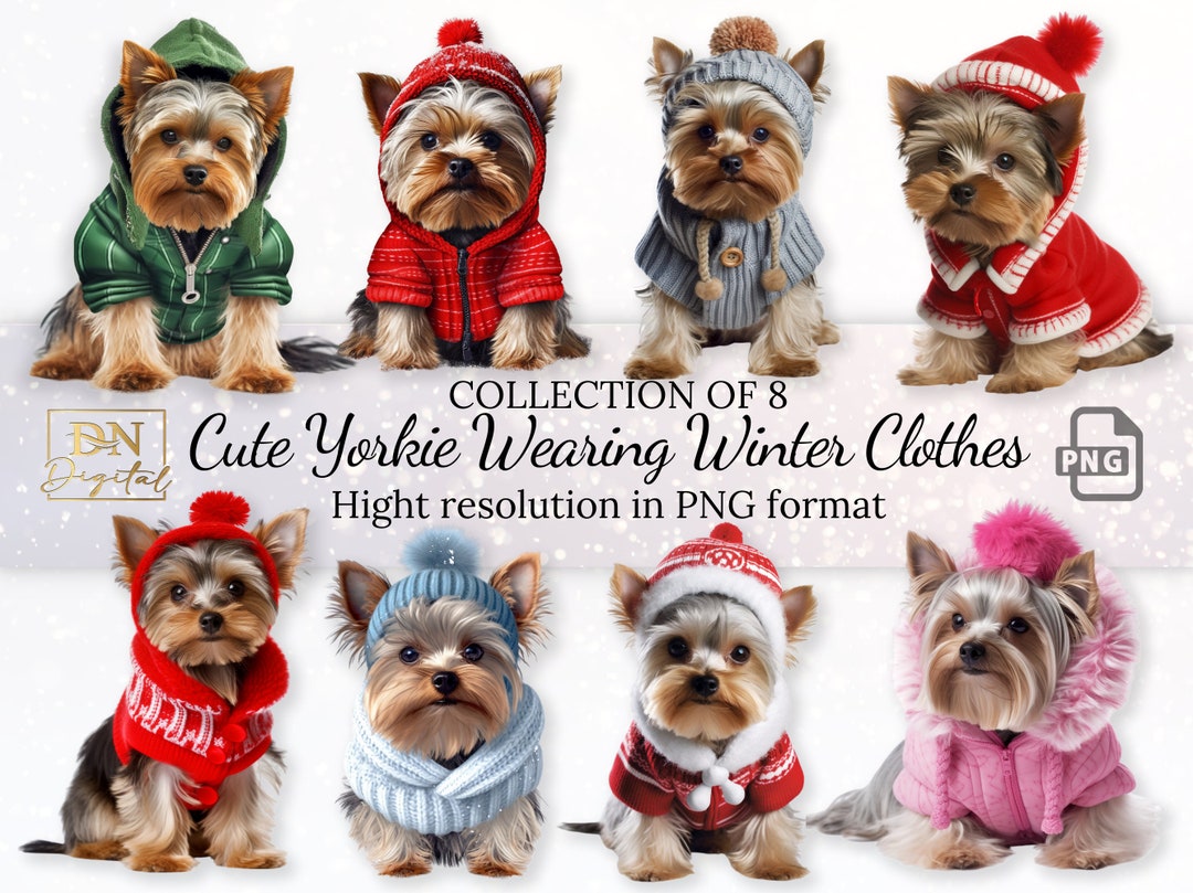 Cute Yorkie Wearing Winter Clothes Clipart Collection • Winter Yorkie ...