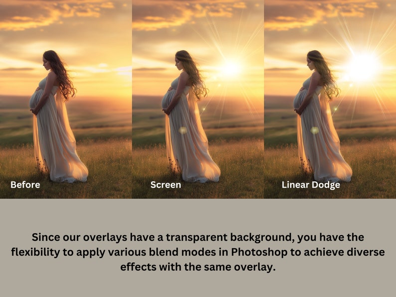 24 Sunlight Overlays/clipart • Sun Flare Photoshop Overlay • Sunset ...