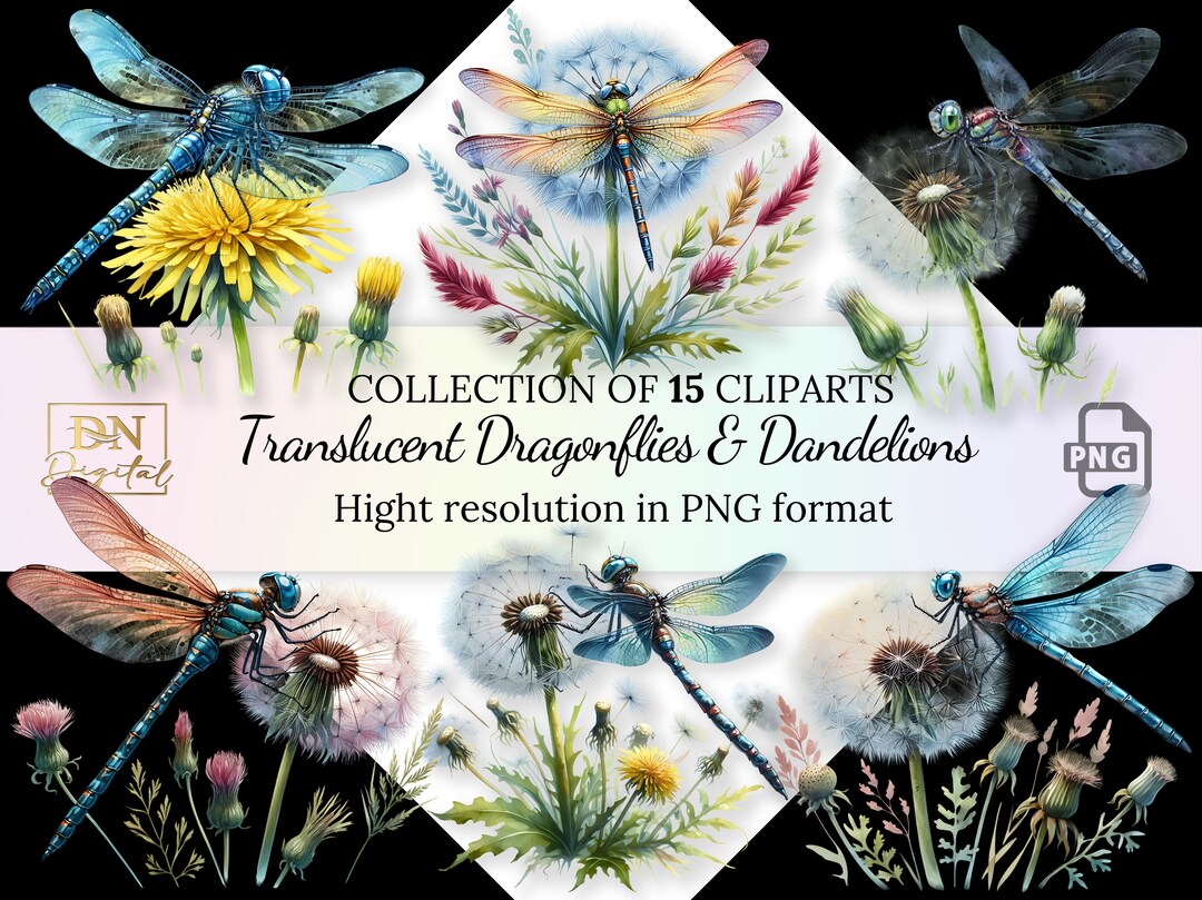 Watercolor Translucent Dragonflies and Dandelions Clipart Collection ...