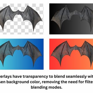 30 Bat Wings Overlays/clipart Collection for Halloween & Fantasy Art ...