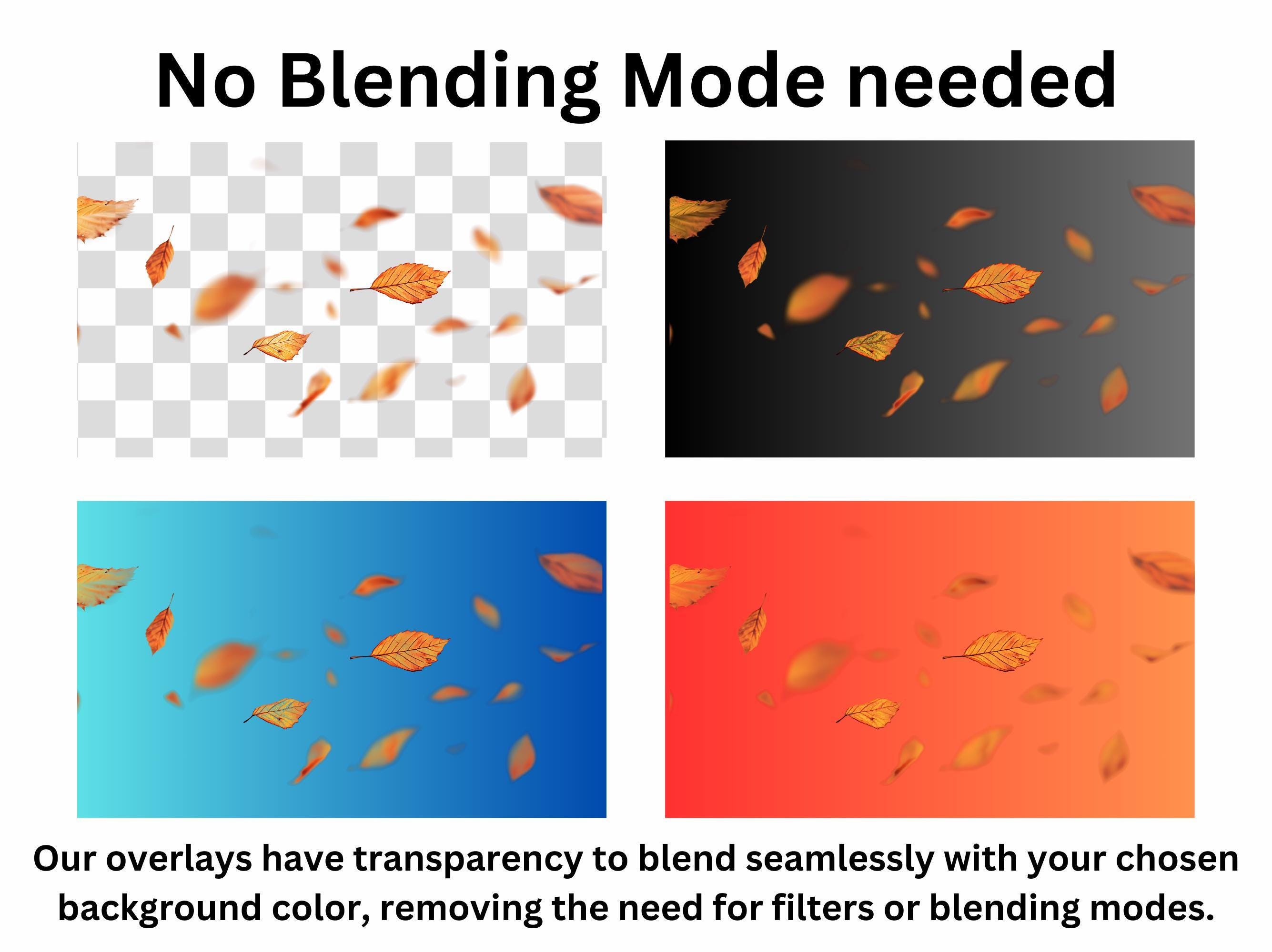 48 Flying Fall Leaves Overlays/clipart Collection • Autumn Leaves Clip ...