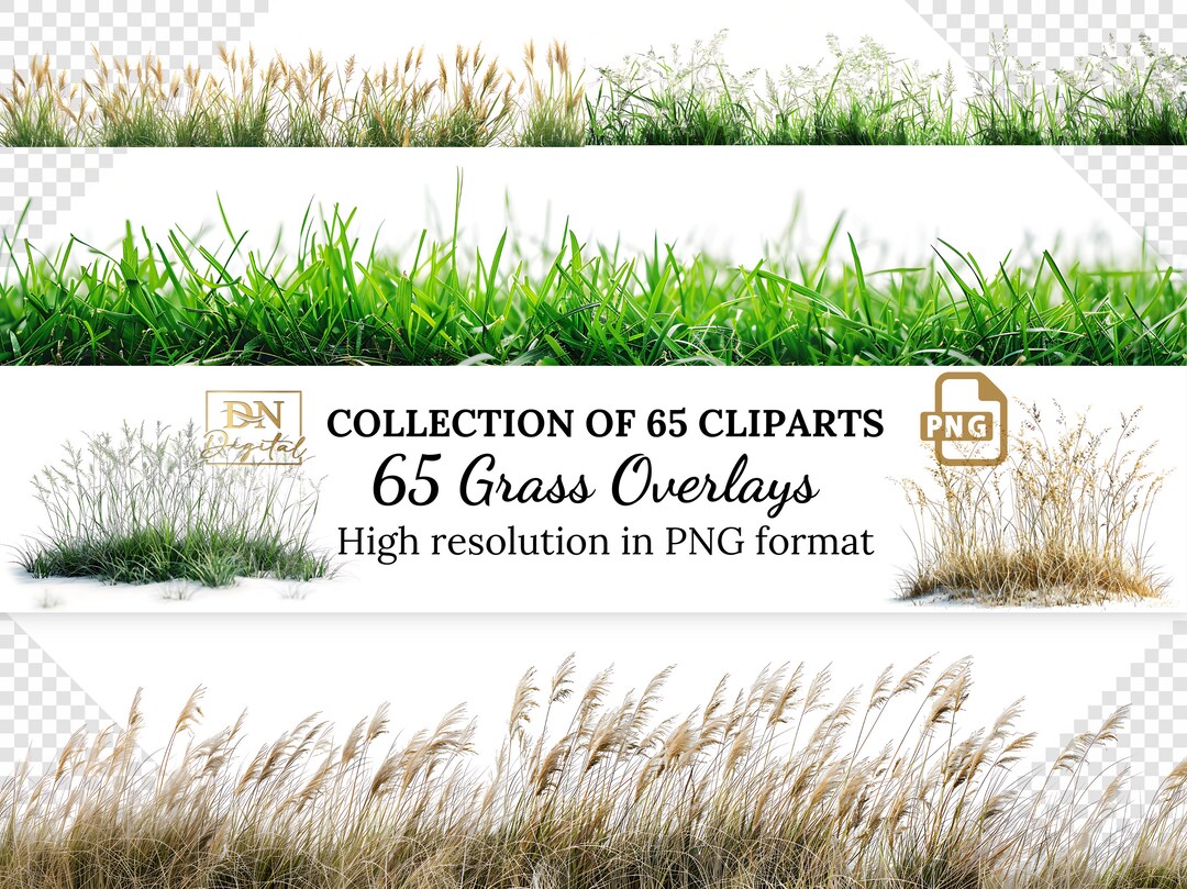 65 Grass Overlays/clipart Collection Green & Dry Grass PNG With ...