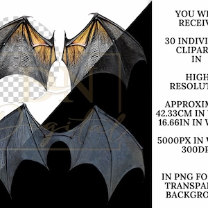 30 Bat Wings Overlays/clipart Collection for Halloween & Fantasy Art ...