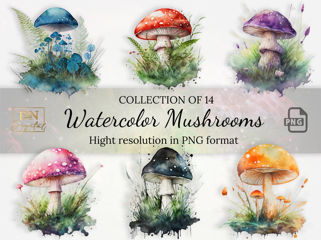 Watercolor Mystical Fairy Tale Mushroom Clipart Collection • PNG Images ...
