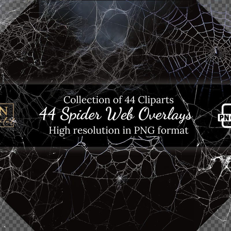 Cobweb Clip Art - Etsy