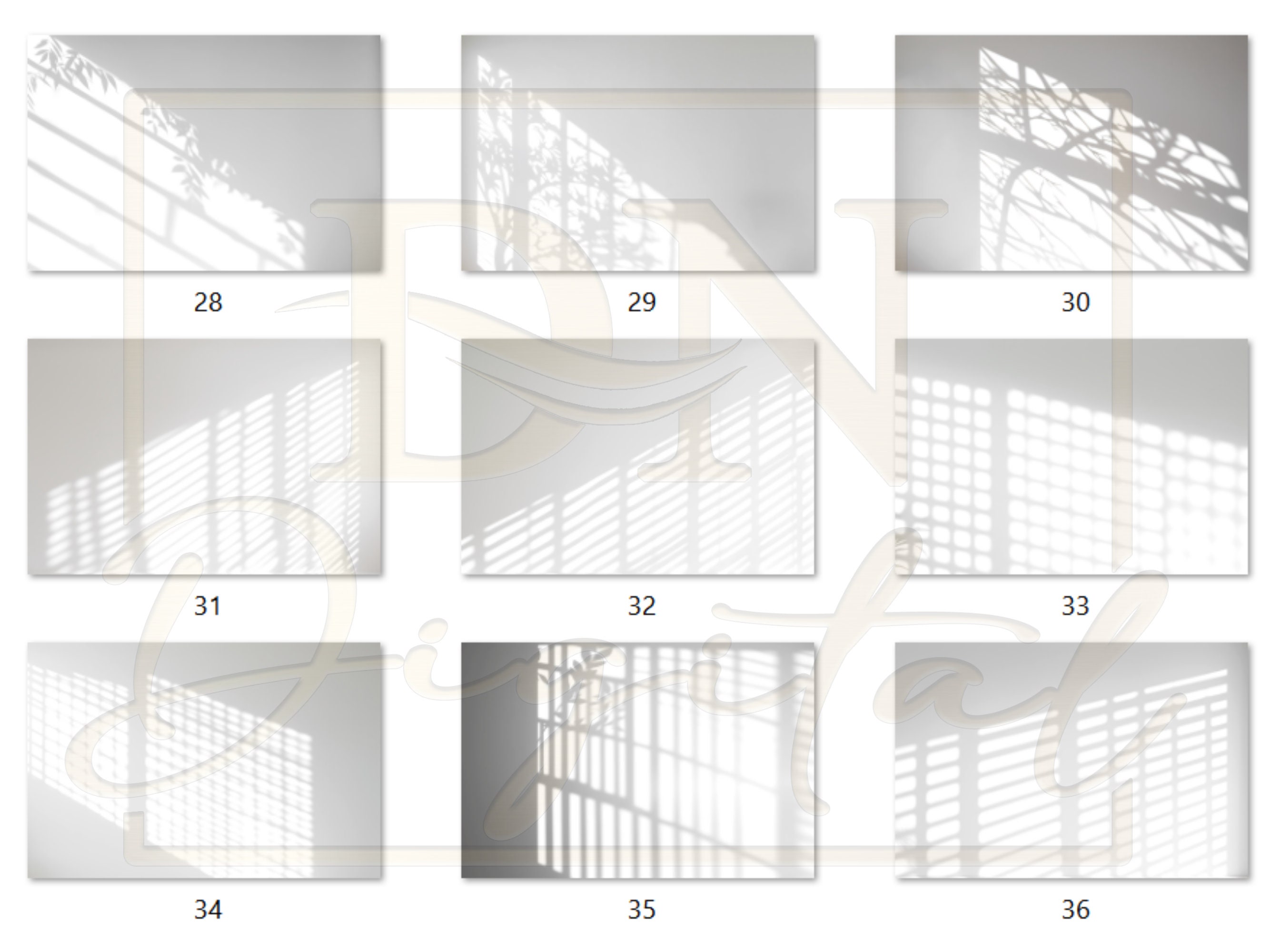 36 Window Shadows Overlay/clipart Collection • Window Light Canva ...