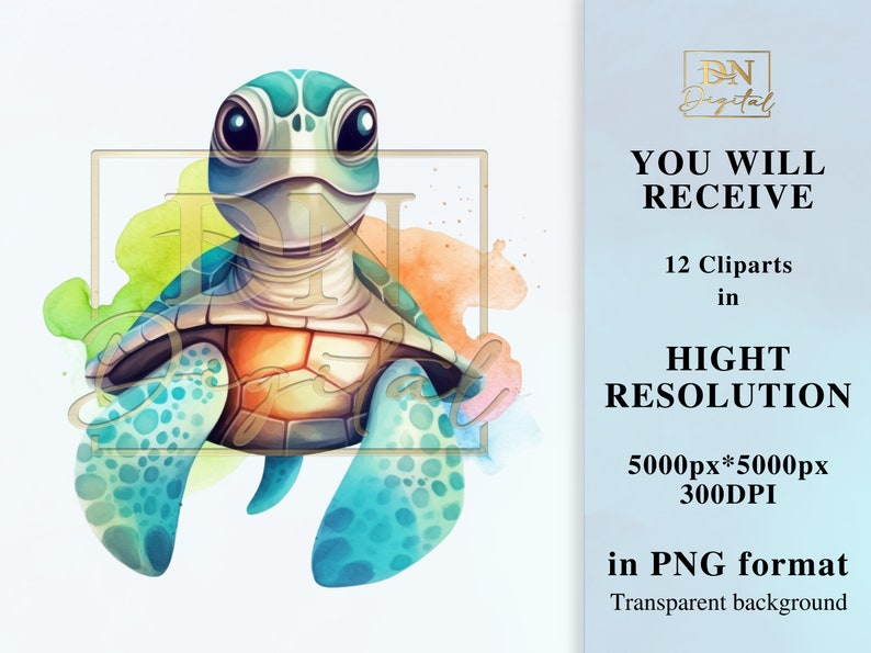 Watercolor Cute Sea Turtle PNG Sea Turtle Clipart Sea - Etsy