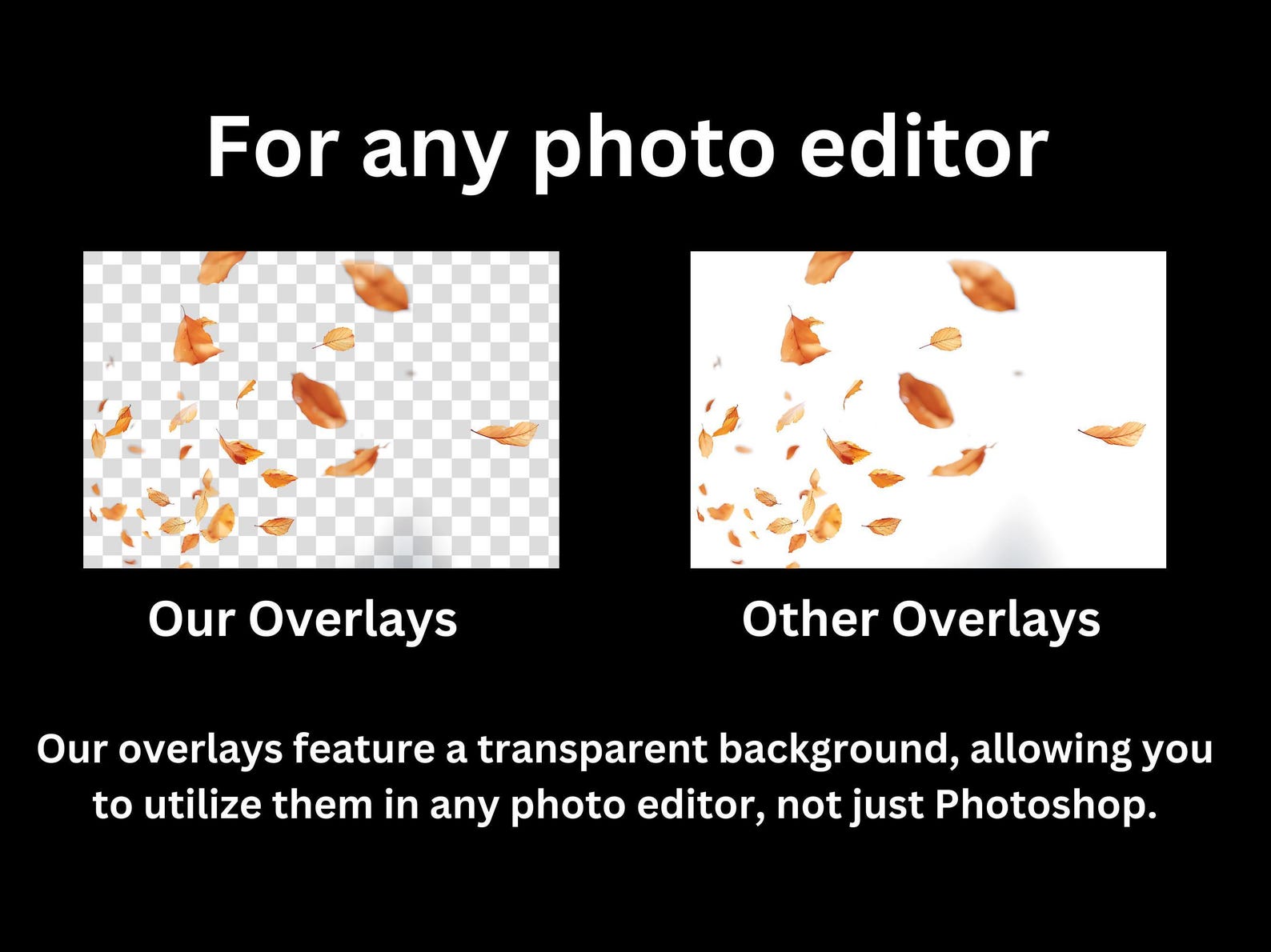 48 Flying Fall Leaves Overlays/clipart Collection • Autumn Leaves Clip ...