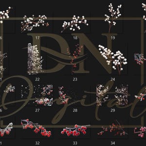 64 Winter Berry Branches Overlays/clipart Collection • Frozen Berries ...