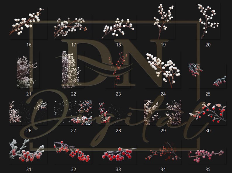 64 Winter Berry Branches Overlays/clipart Collection • Frozen Berries ...