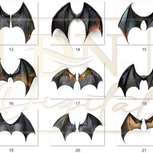 30 Bat Wings Overlays/clipart Collection for Halloween & Fantasy Art ...