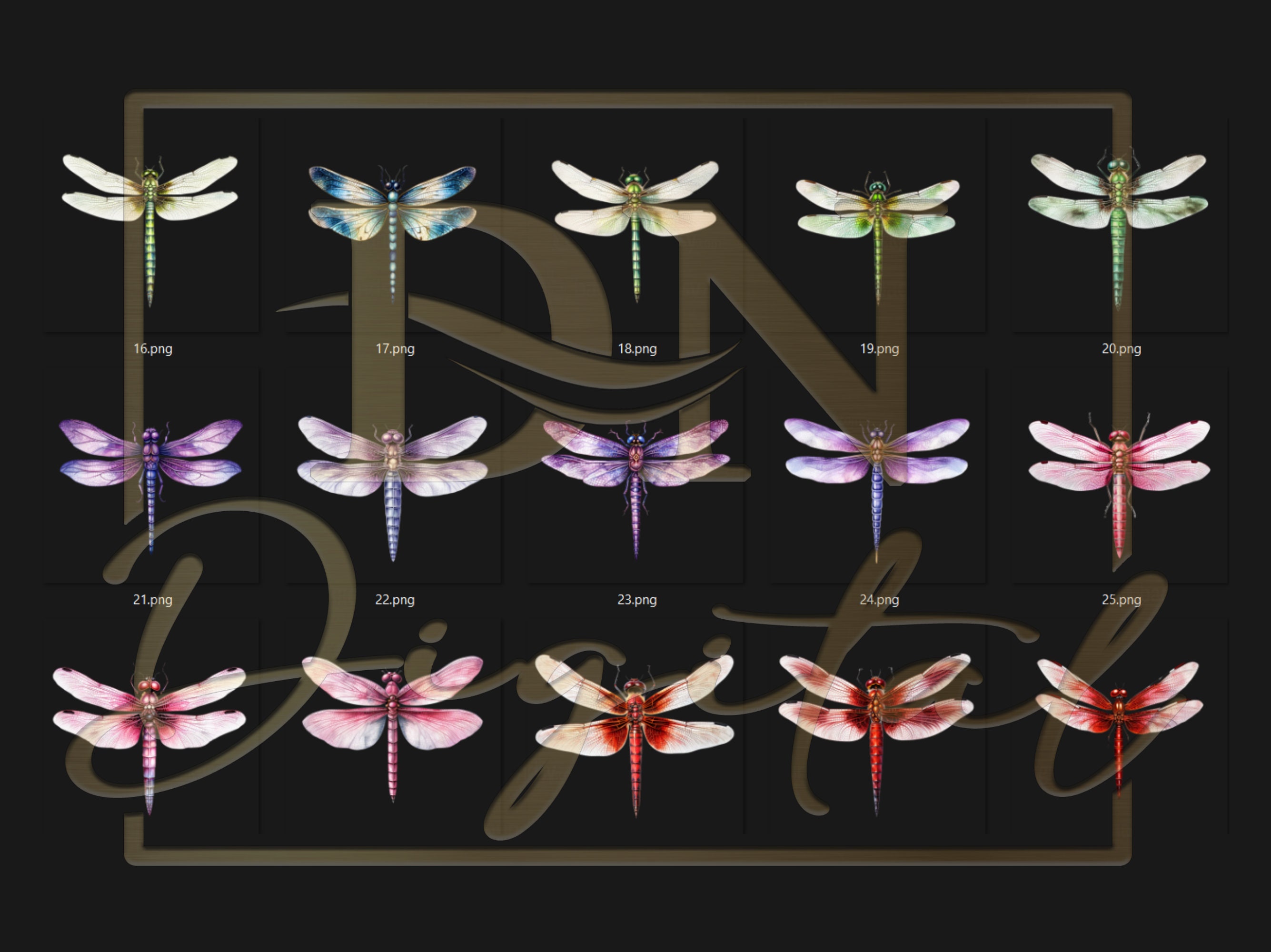 40 Dragon-fly Clipart Collection • Dragonfly Illustration With ...