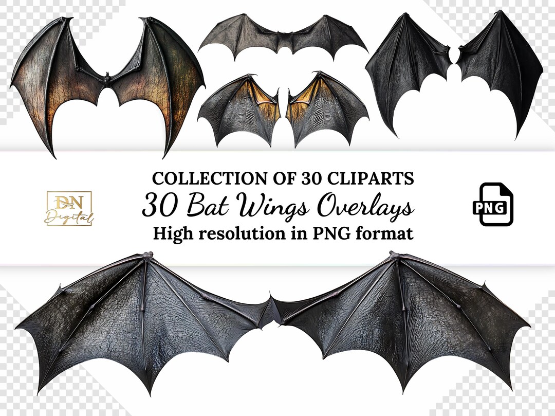 30 Bat Wings Overlays/clipart Collection for Halloween & Fantasy Art ...