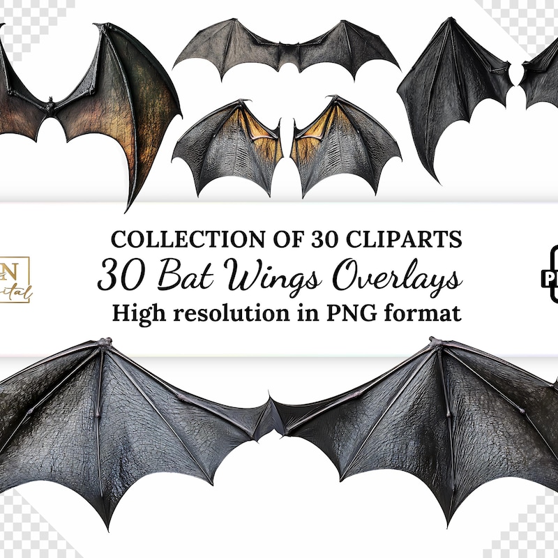 Bat Camera Overlay - Etsy