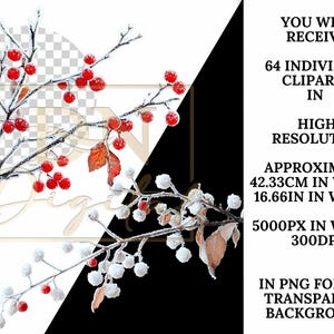 64 Winter Berry Branches Overlays/clipart Collection • Frozen Berries ...