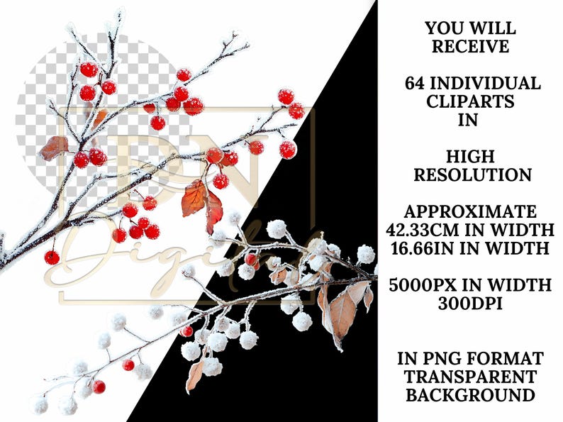 64 Winter Berry Branches Overlays/clipart Collection • Frozen Berries ...