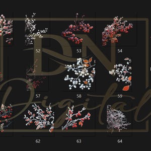 64 Winter Berry Branches Overlays/clipart Collection • Frozen Berries ...