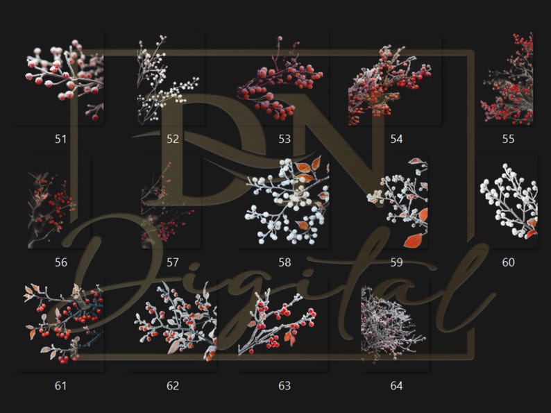 64 Winter Berry Branches Overlays/clipart Collection • Frozen Berries ...