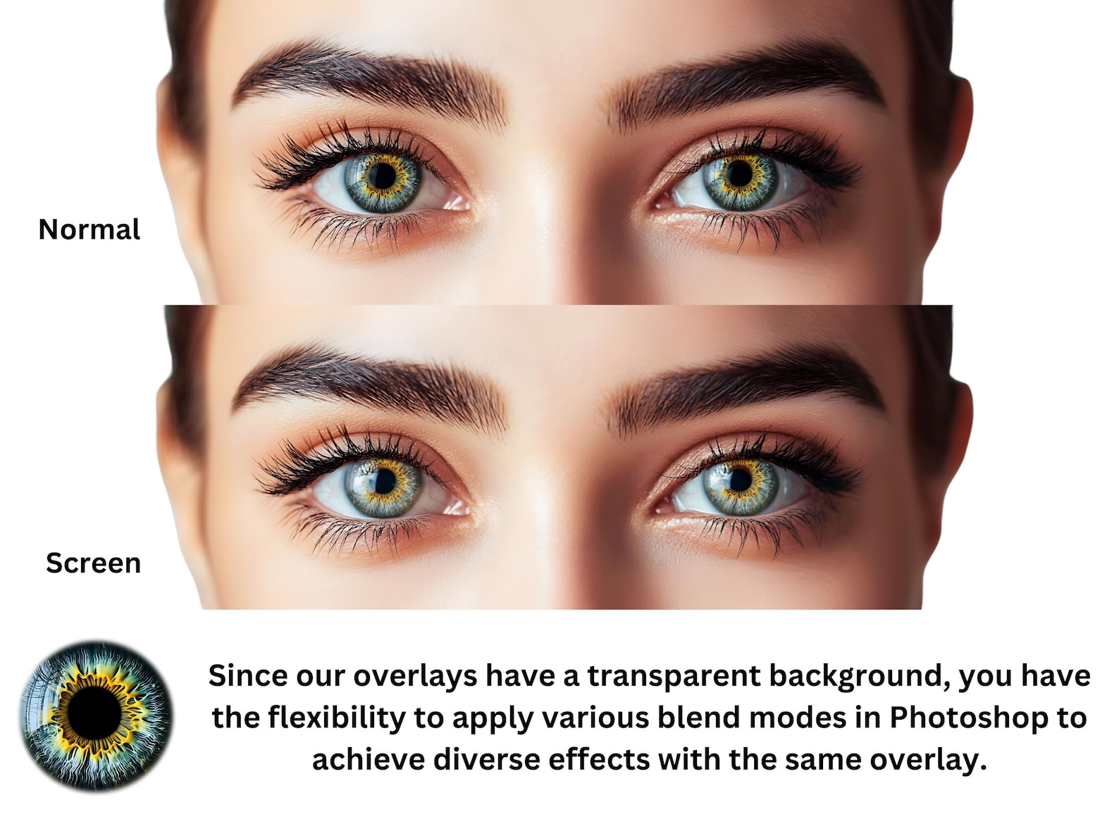 85 Eye Iris Overlays/clipart Collection • High-res Realistic Eye ...