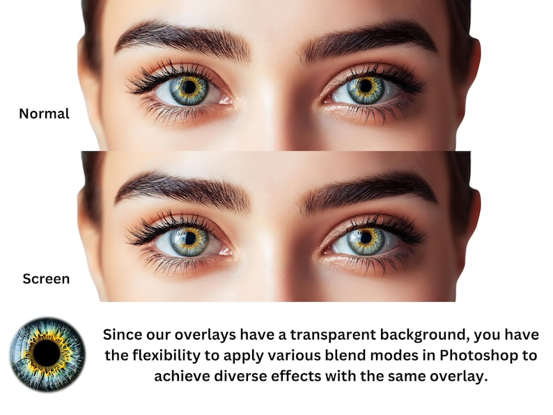 85 Eye Iris Overlays/clipart Collection • High-res Realistic Eye ...