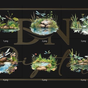 Dragonfly Habitat Clipart Collection • Dragonfly Pond Illustration With ...