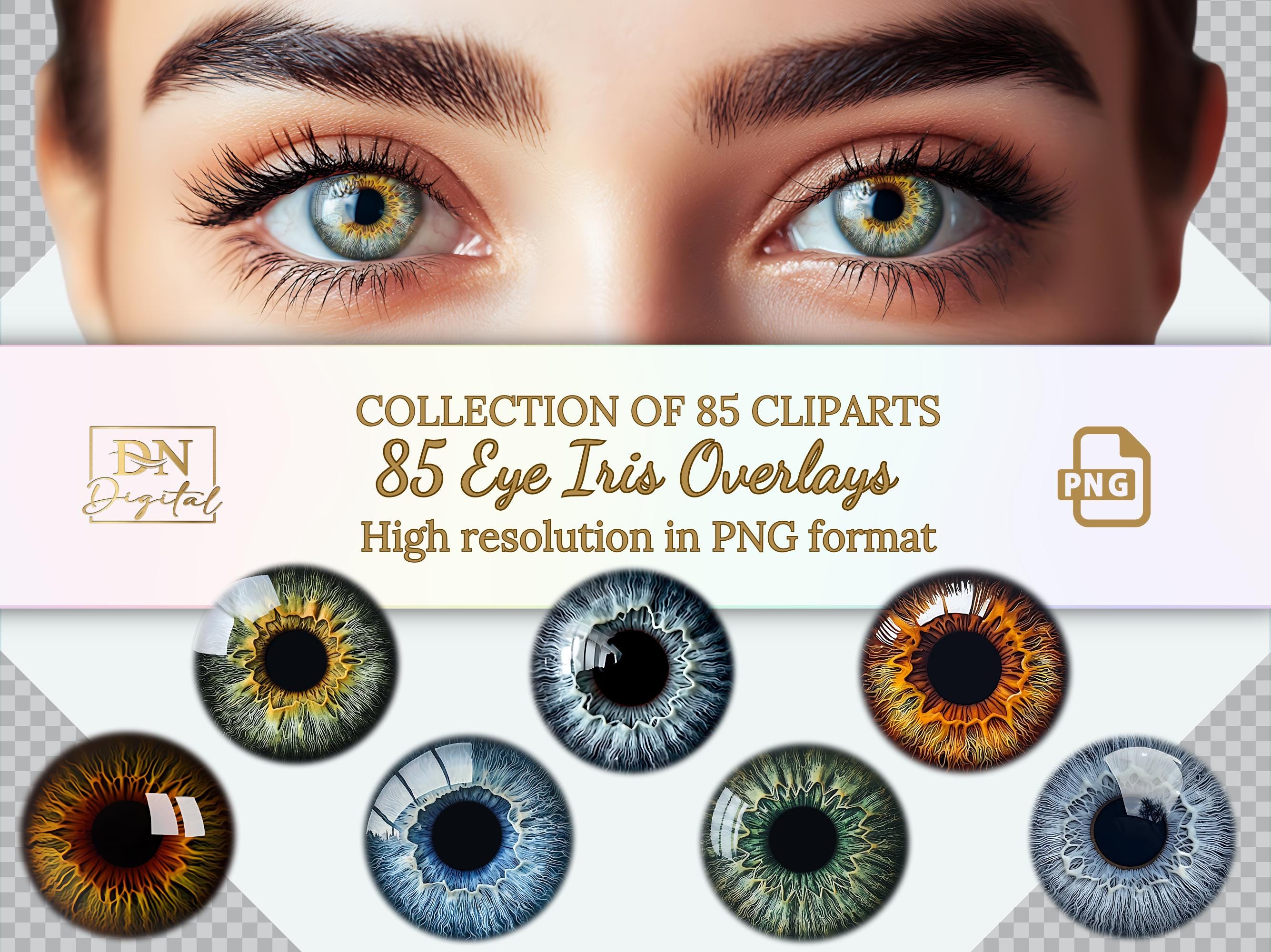 85 Eye Iris Overlays/clipart Collection • High-res Realistic Eye ...