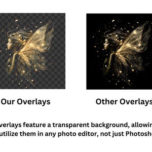 56 Fairy Tale Overlays/clipart Collection • Translucent Graphics for ...