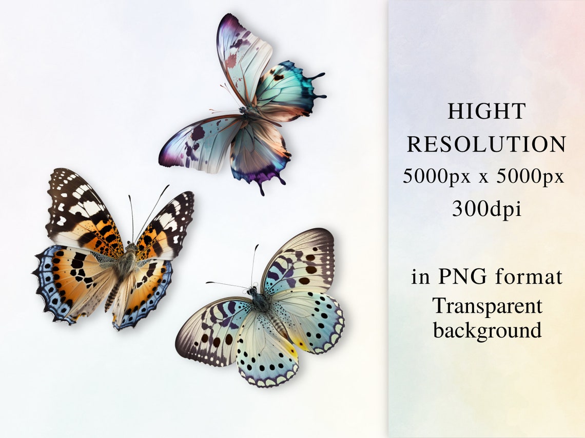 Butterflies Digital Stickers Watercolor Butterflies Clipart - Etsy