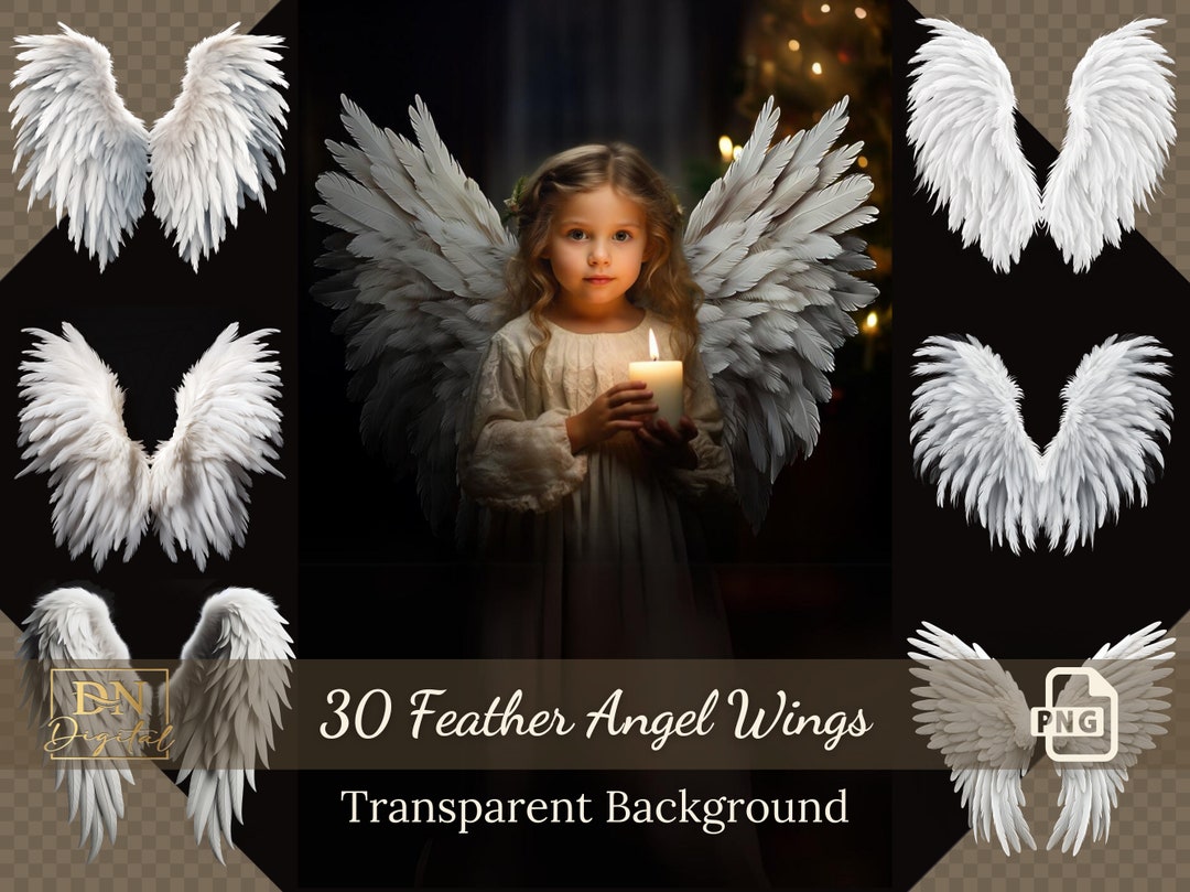 30 Feather Angel Wings Photo Overlays/clipart Collection photoshop ...