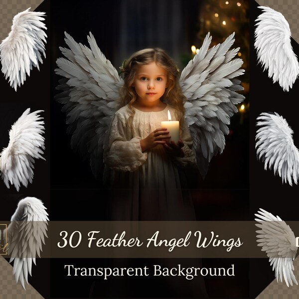 Magic Wings Clipart - Etsy