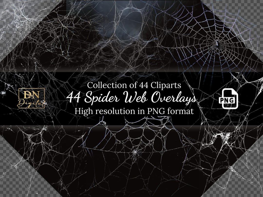 44 Spider Webs Overlays/clipart Collection Creepy Graphics for ...