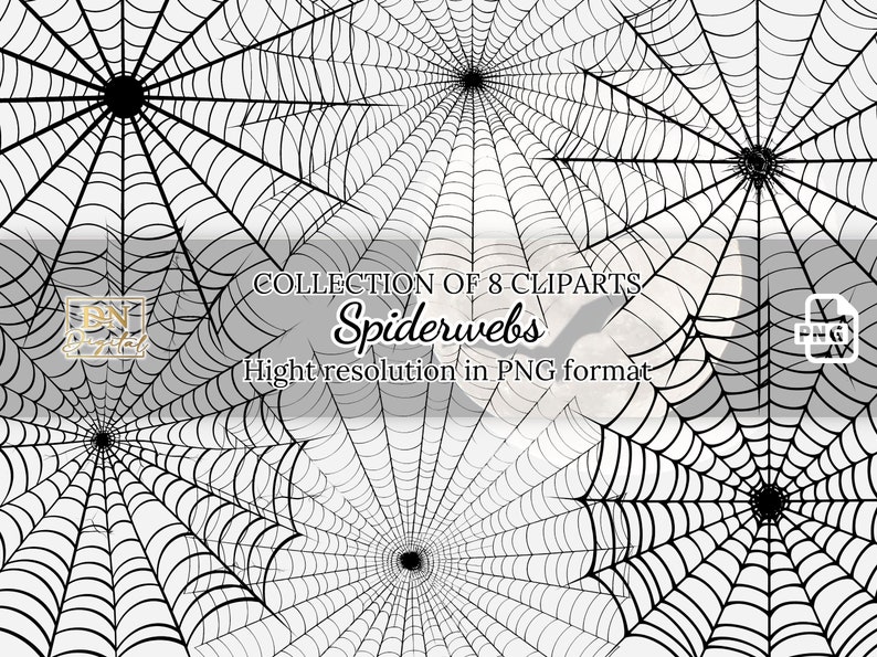 Spiderwebs Clipart Collection for Creative Design • Spiderweb PNG Photo ...