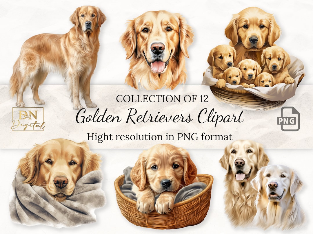 Golden Retriever Clipart • Golden Retriever Puppy PNG • Cute Dog ...