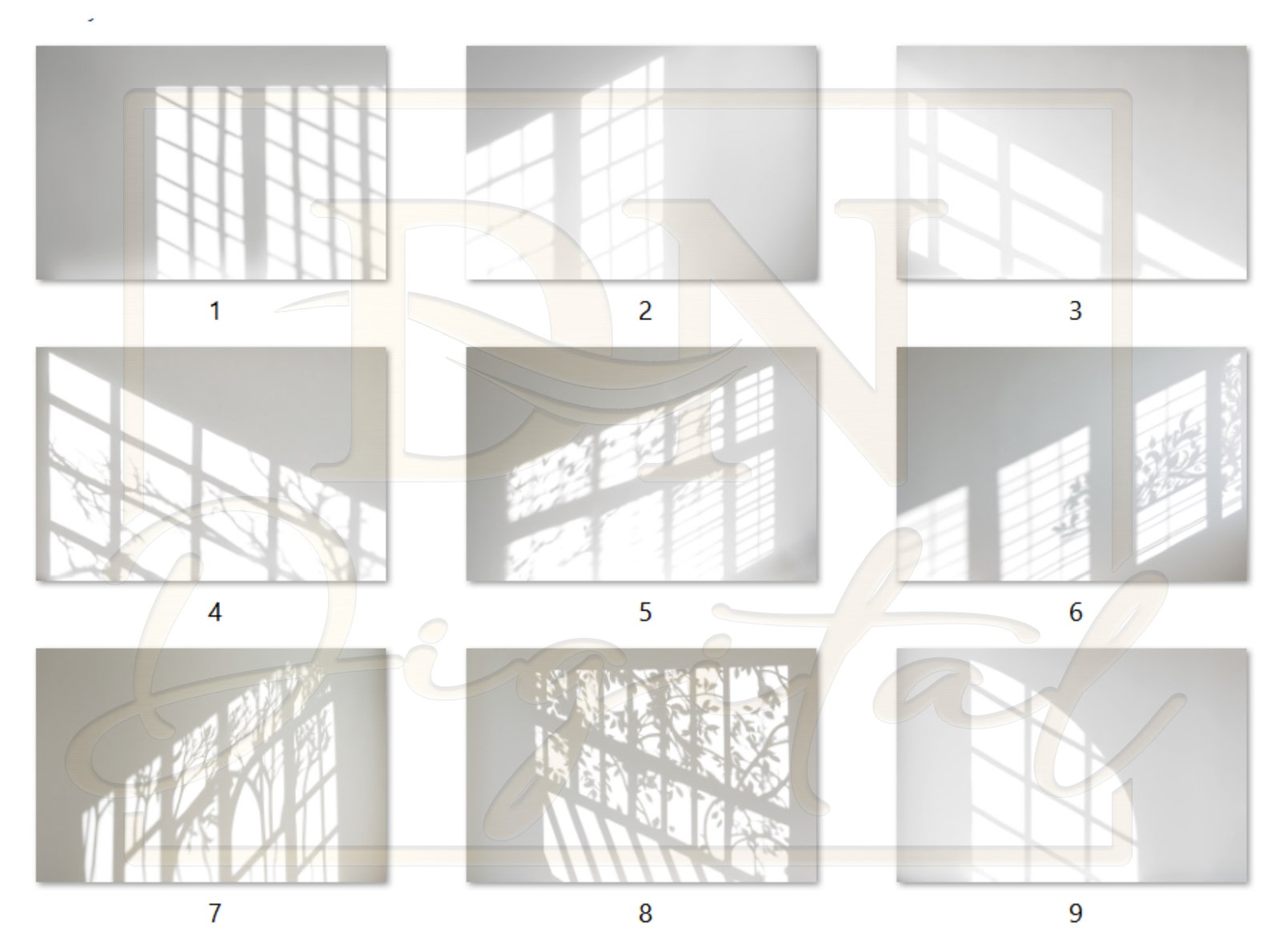 36 Window Shadows Overlay/clipart Collection • Window Light Canva ...