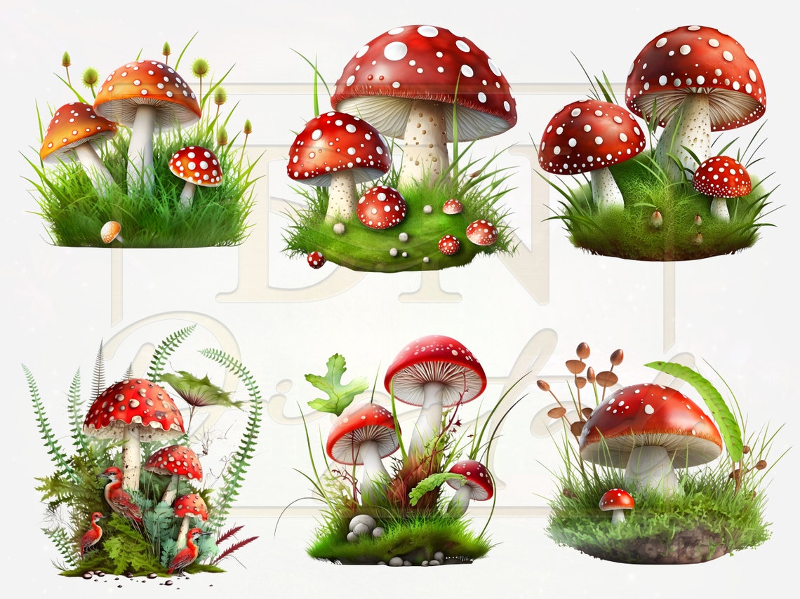 Red Mystical Fairy Tale Mushroom Clipart Collection PNG - Etsy