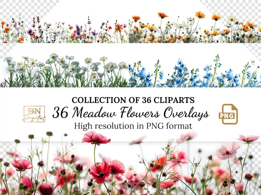 36 Meadow Flowers Overlays/clipart Collection • Natural Flowers Clip ...
