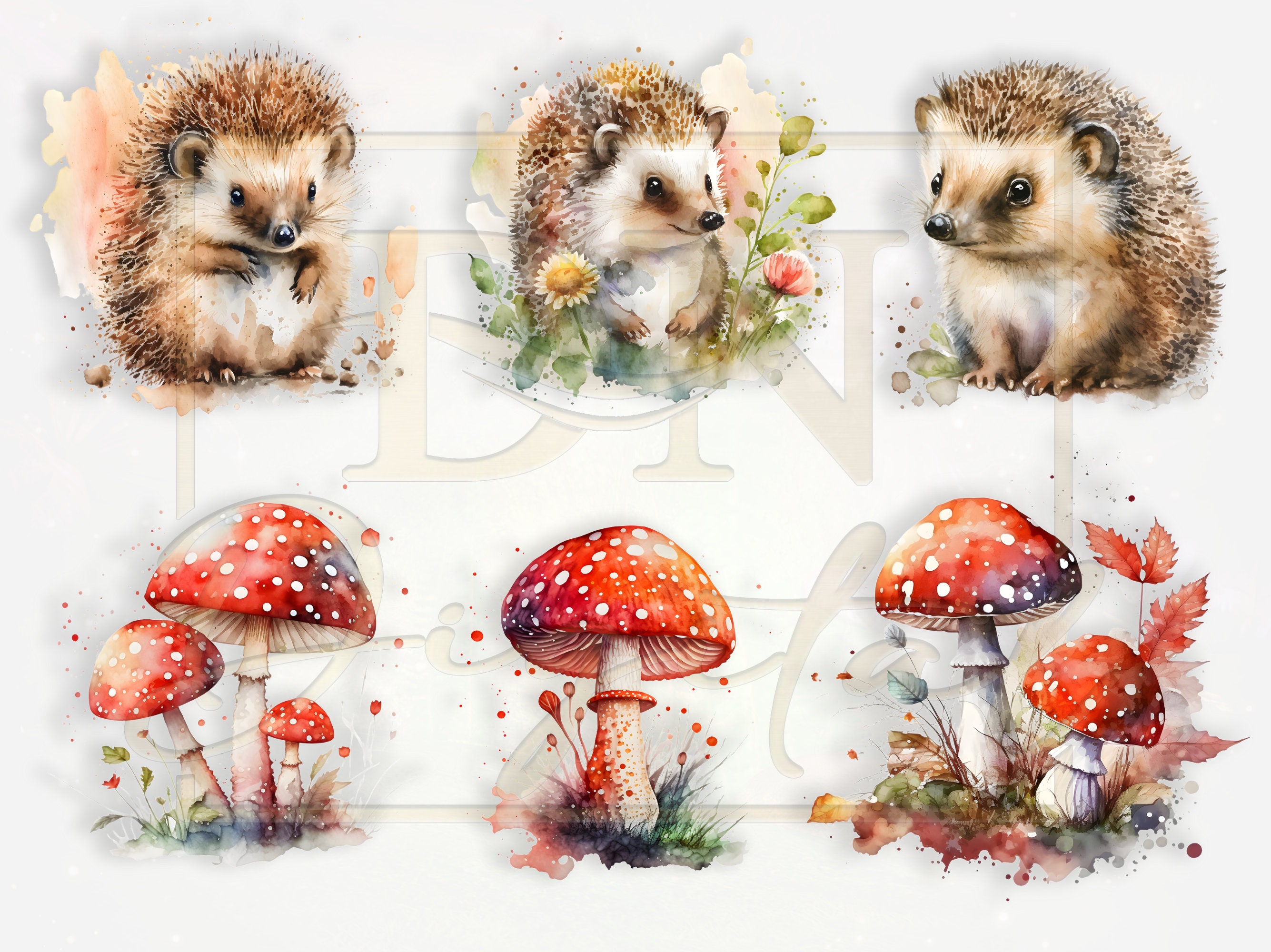 36 Watercolor Baby Forest Animasl Clipart Collection PNG - Etsy