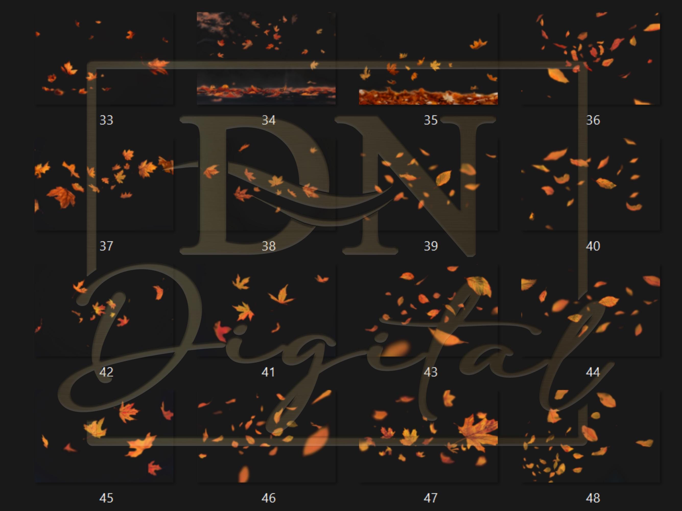48 Flying Fall Leaves Overlays/clipart Collection • Autumn Leaves Clip ...