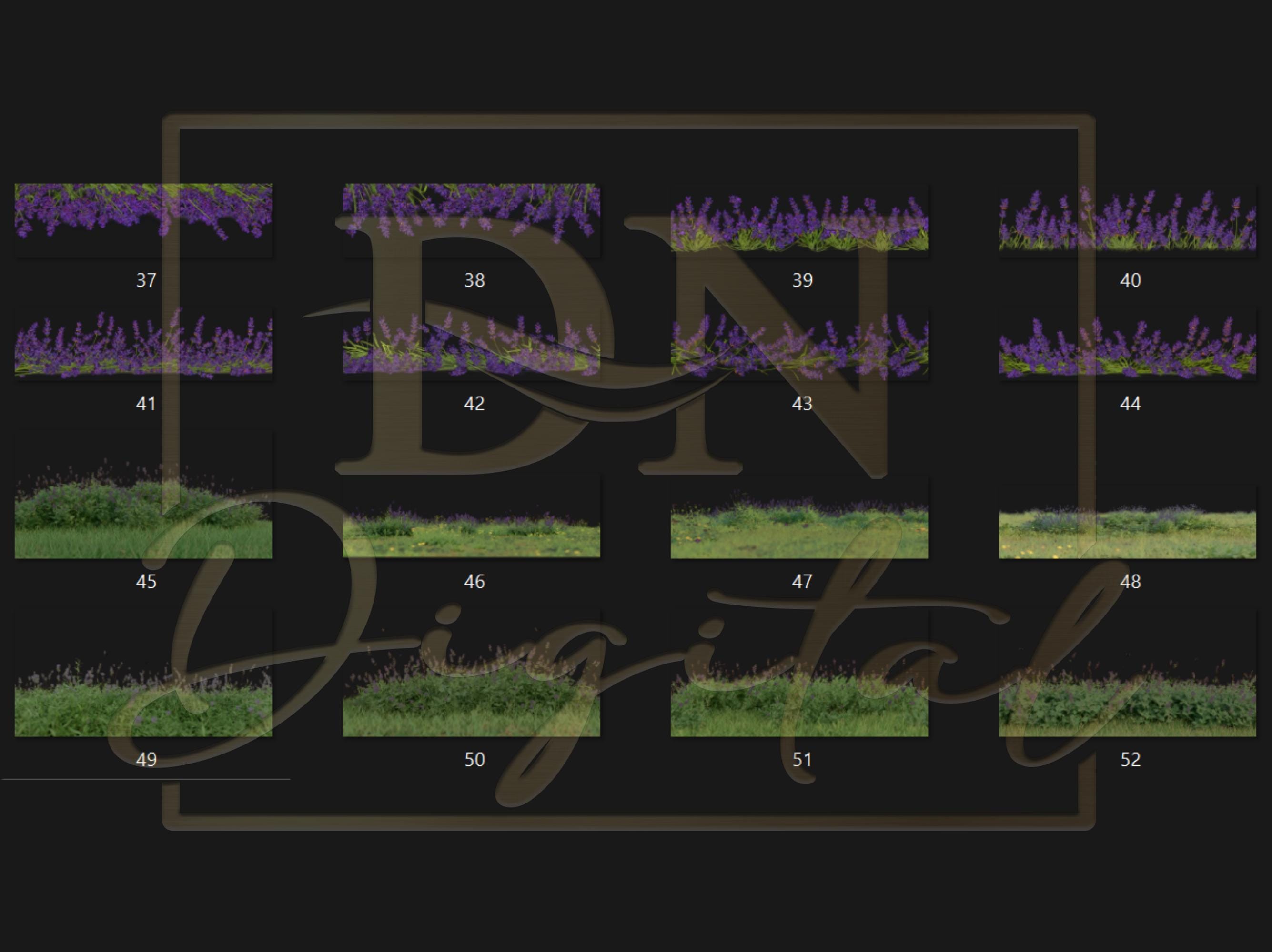 70 Lavender Overlays/clipart Collection • Natural Flowers Clip Art ...
