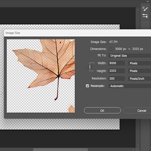 48 Flying Fall Leaves Overlays/clipart Collection • Autumn Leaves Clip ...