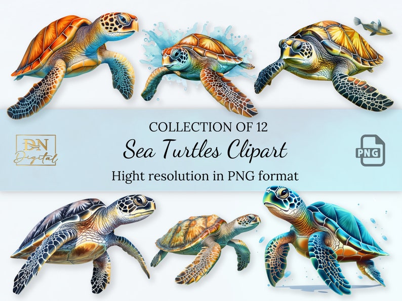 Sea Turtle PNG Sea Turtle Clipart Sea Animals PNG Cute - Etsy