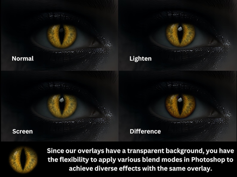 Eyes of Realm Overlays/clipart Collection • High-res Primal Eye ...
