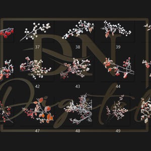 64 Winter Berry Branches Overlays/clipart Collection • Frozen Berries ...