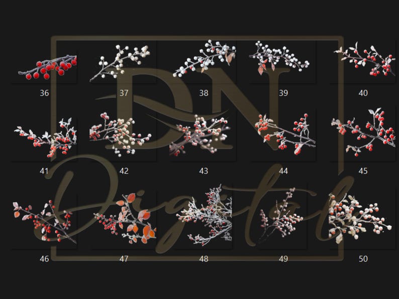 64 Winter Berry Branches Overlays/clipart Collection • Frozen Berries ...