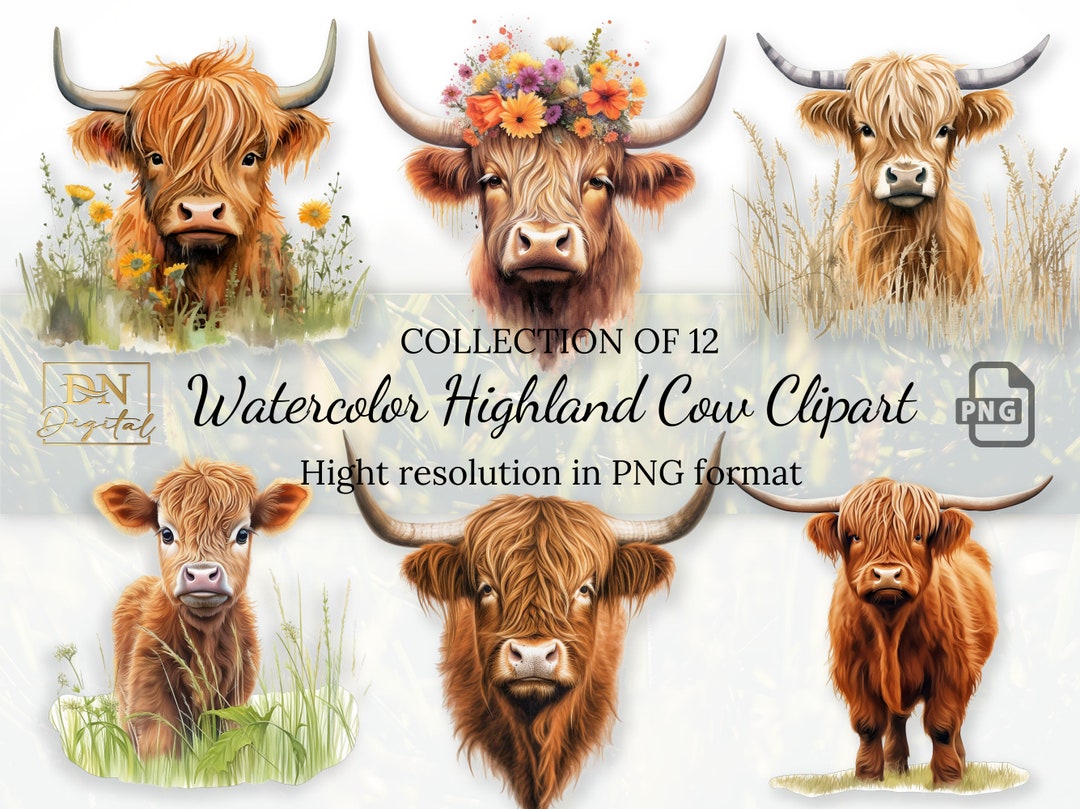 Highland Cow Clipart Collection • Highland Cow PNG • Cute Highland ...