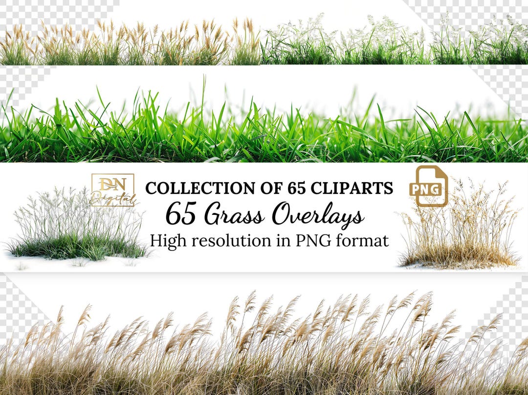 65 Grass Overlays/clipart Collection • Green & Dry Grass PNG With ...