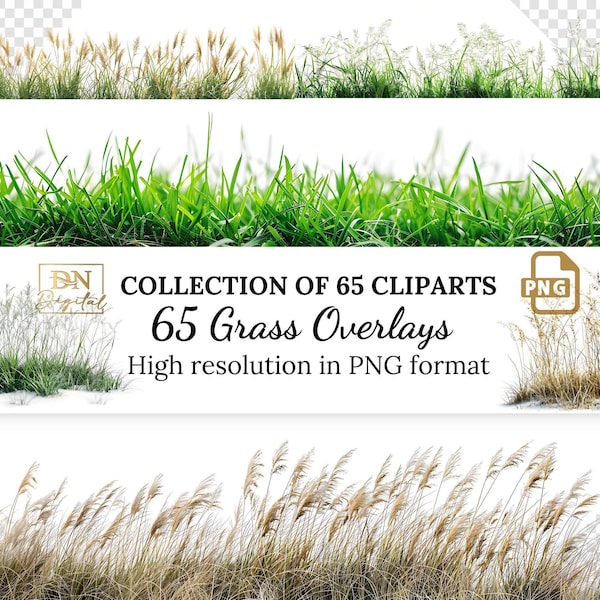 Grass Meadow Clipart - Etsy UK